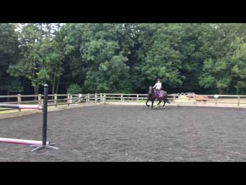 Ella- Up to 1.15m