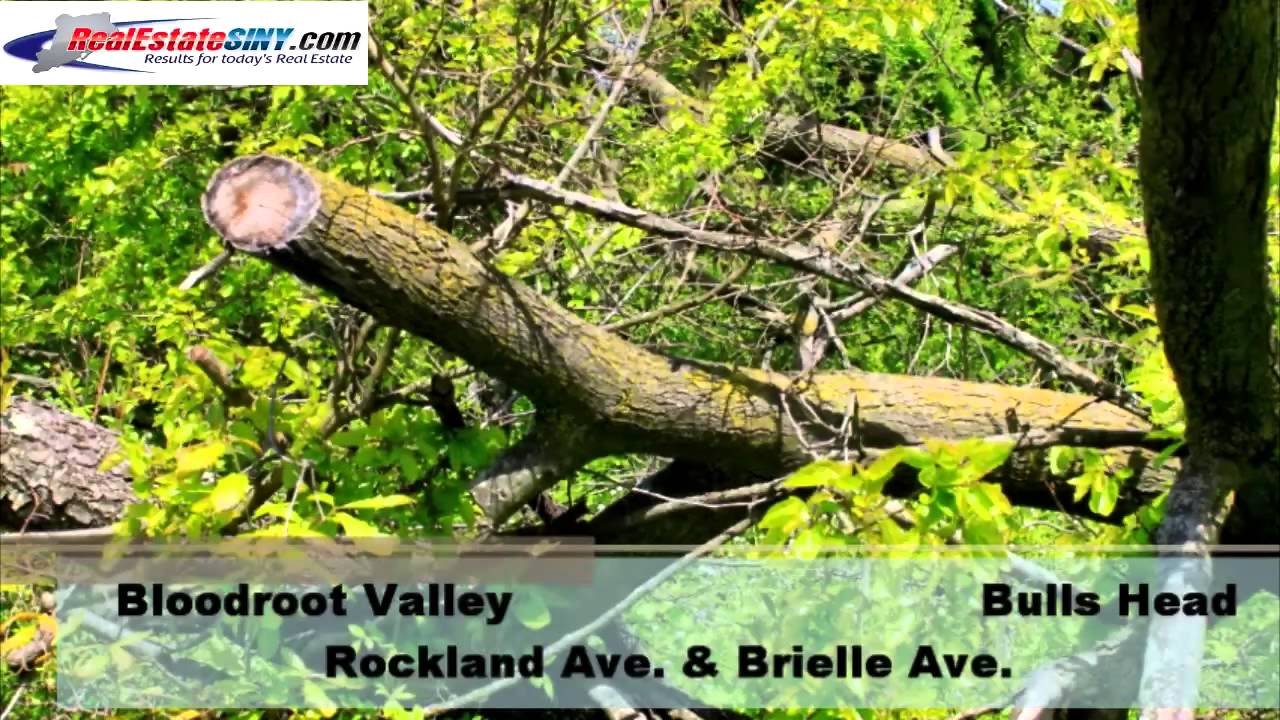 Blood Root Valley, Staten Island - YouTube