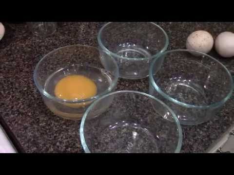 Comparing yolks of goose, turkey, duck, & chicken eggs