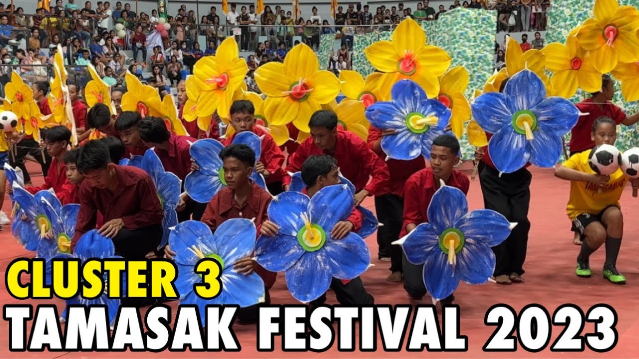 CLUSTER 3 TAMASAK FESTIVAL 2023 BAROTAC NUEVO COMPREHENSIVE HIGH SCHOOL ...