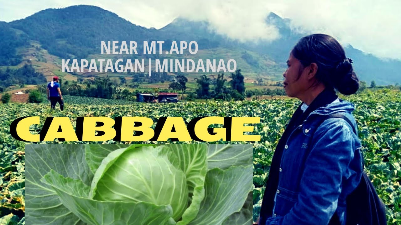 #07 Have you experience living in countryside? We will show you what is ...