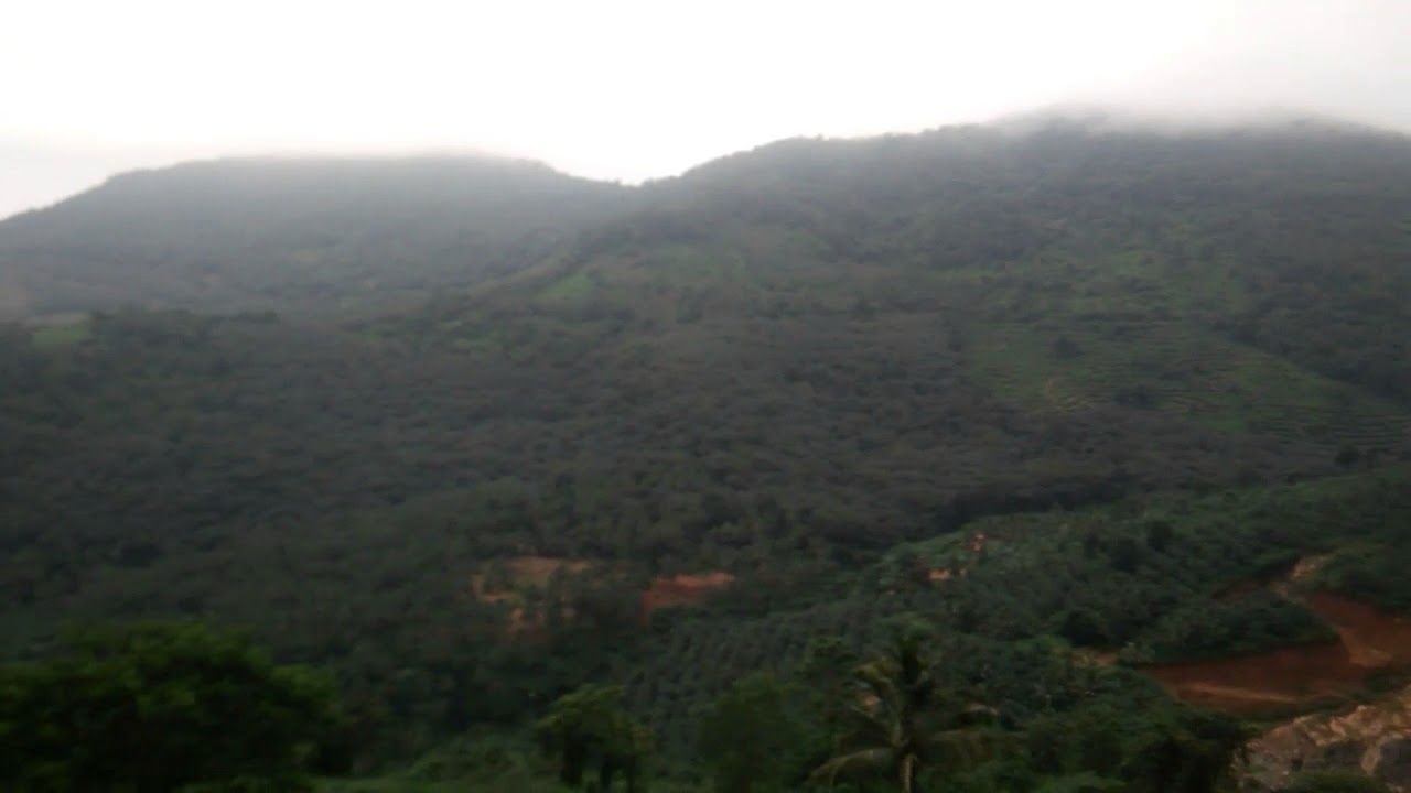 Vazha mala (വാഴ മല) - YouTube