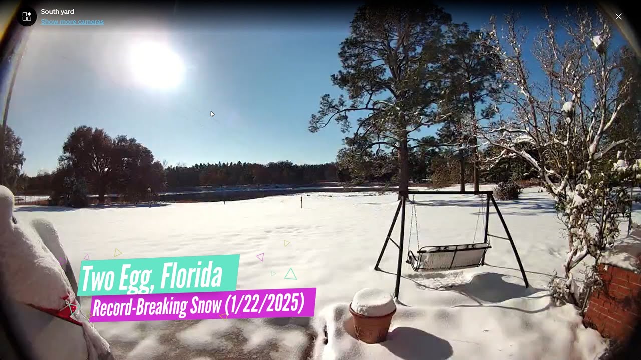 Record Snow in Two Egg, Florida (Morning after cams) - YouTube