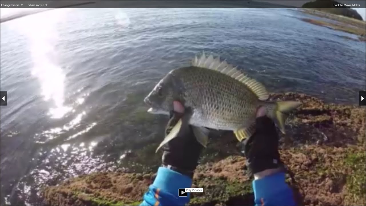 Monster Bream 36cm - Cranka Crab Hardbodys - YouTube