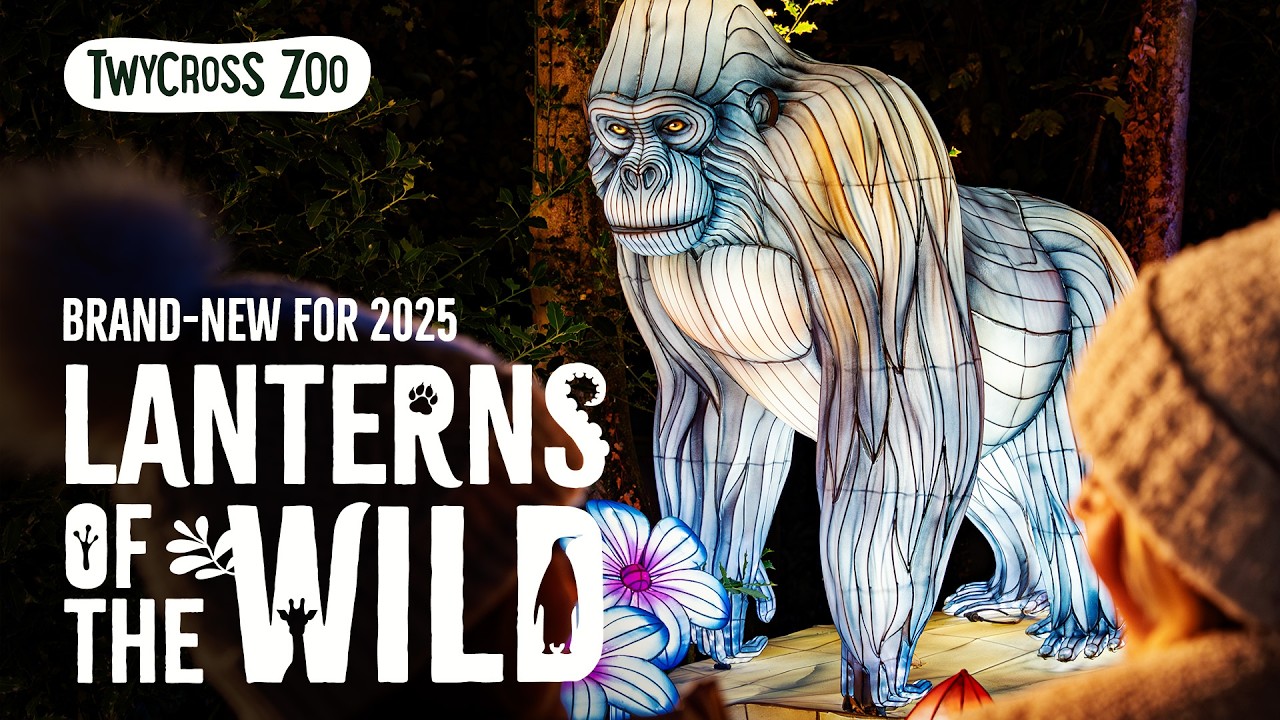 BRAND NEW Lanterns of the Wild at Twycross Zoo! 🐘 - YouTube