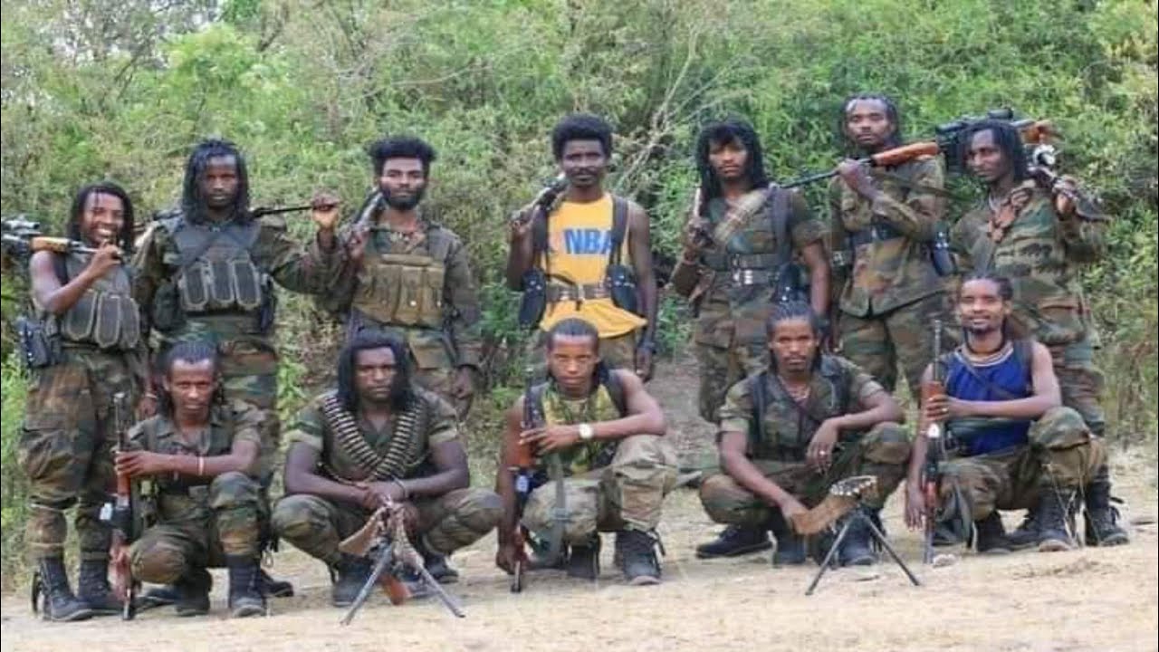 Gurmuu Hawwisoo WBO Zoonii Lixaa new 2021 - YouTube