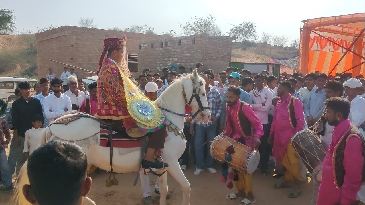 शादी में घोड़ी डांस || Horses Dance Videos || Animals Dance|| Ghodi ...