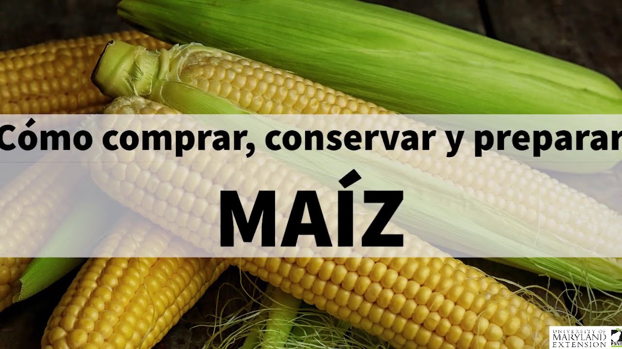 Cómo comprar, conservar y preparar maíz - YouTube