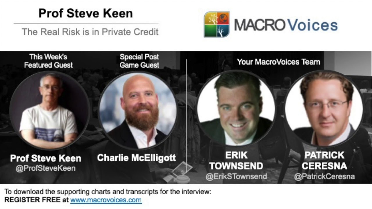 Prof Steve Keen: The Real Risk is in Private Credit - YouTube
