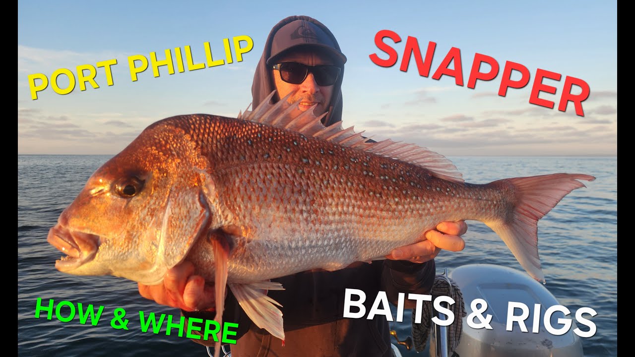 SNAPPER FISHING | PORT PHILLIP | December 2024 #snapperfishing ...