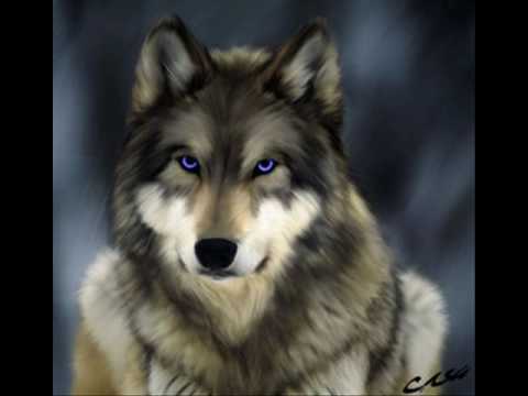 werewolves: behind blue eyes - YouTube