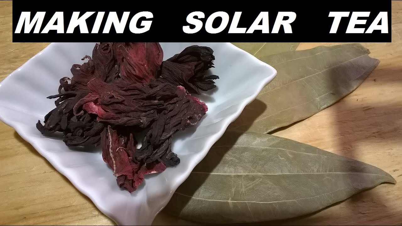 18V 12V Solar Powered Tea with a DC converter and 100w solar panel ...