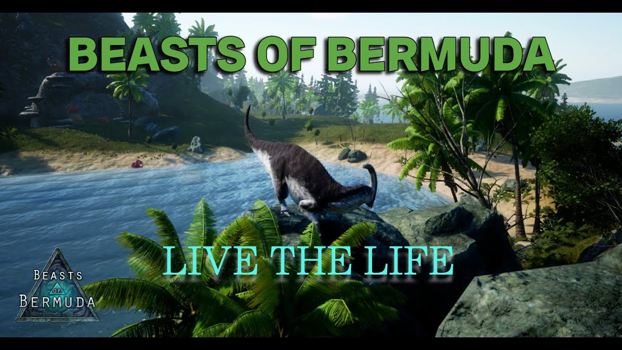 Live The Life [BEASTS OF BERMUDA] - YouTube