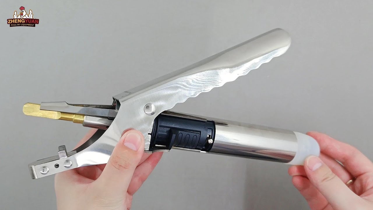 Stainless Steel Pig Tail Cutter Pig Swine Tail Docker Newborn Piglet ...