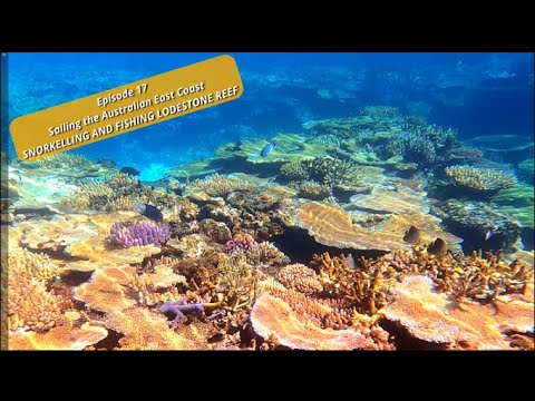 Episode 17 - Sailing the Australian East Coast - Fishing and ...