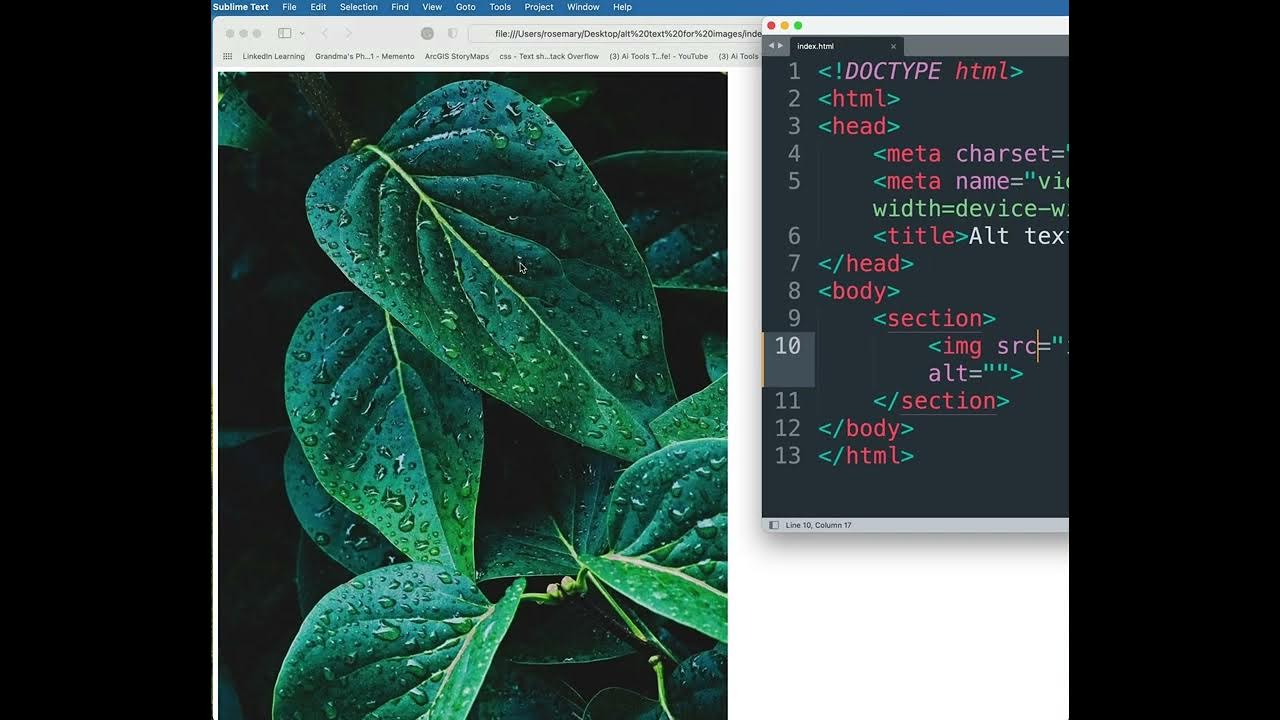 Writing alt text for Websites - YouTube
