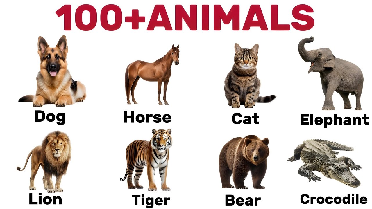 100+ Animal Names in English | Domestic & Wild Animals with Sounds ...