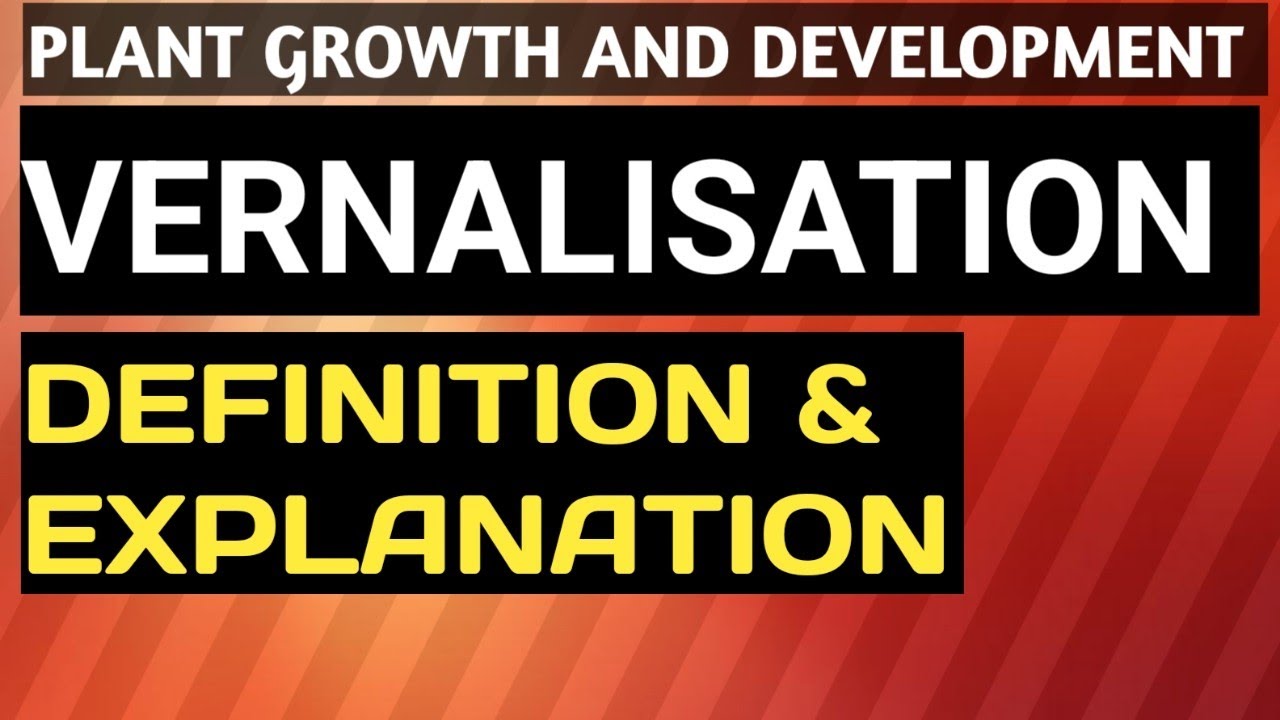 Plant Growth & Development - #vernalisation - Definition / #spring ...