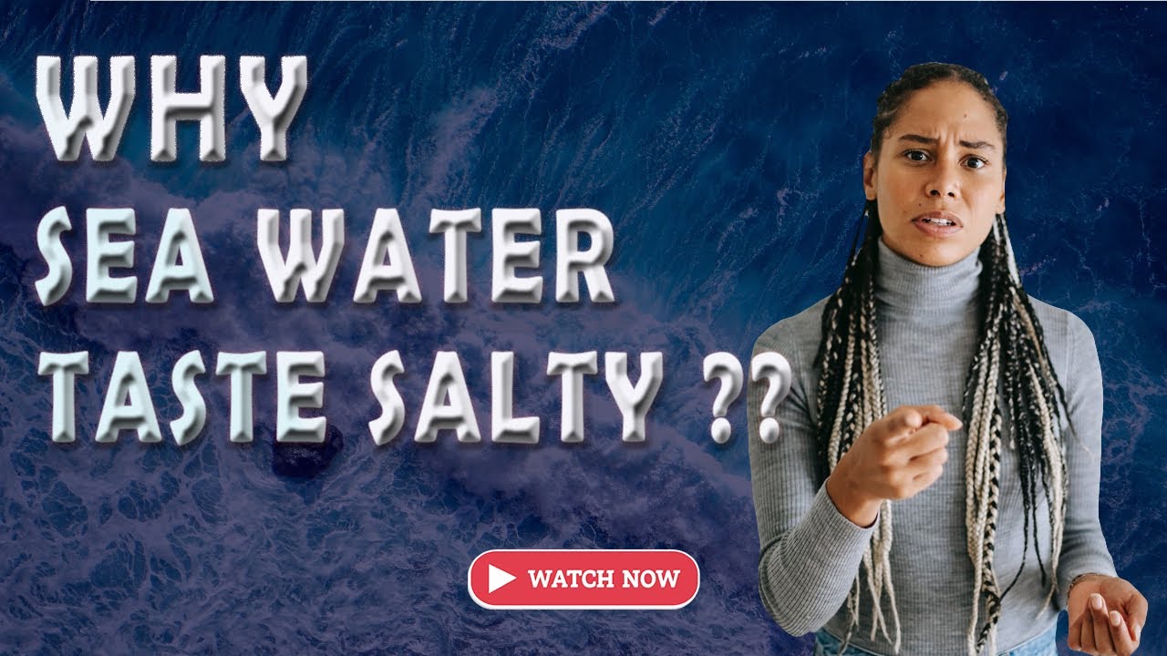 The Science Behind Salty Seas, Unveiling the Mysteries of Ocean ...