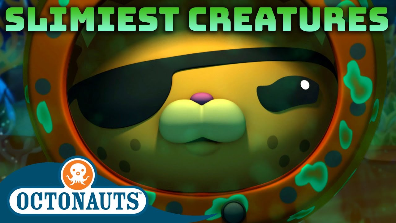 @Octonauts - Slimiest Creatures | 70+ Mins | Cartoons for Kids ...