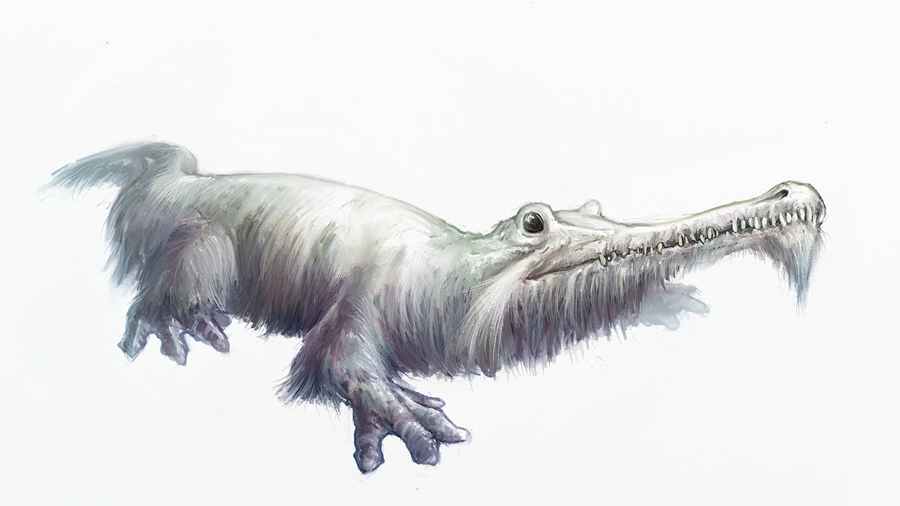 Gavial Ártico Speedpaint por Peyeyo - YouTube