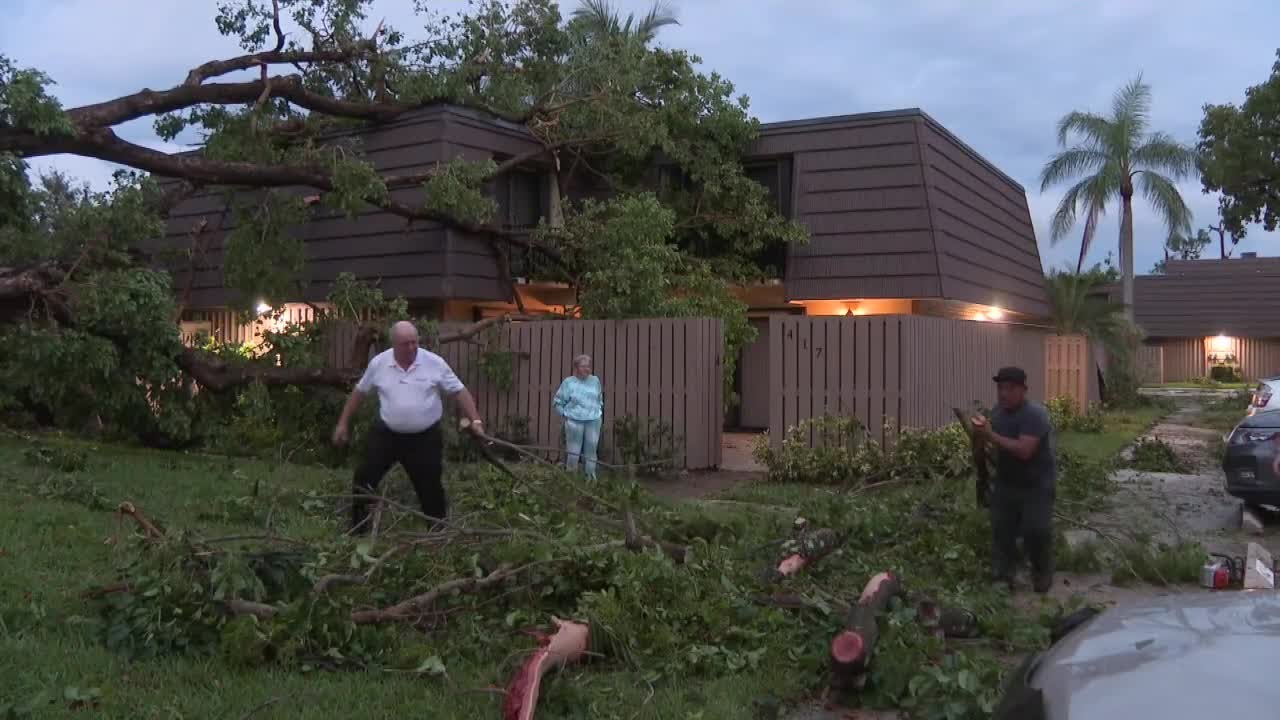 Giant tree falls on Palm Beach Gardens man's home during tornado - YouTube