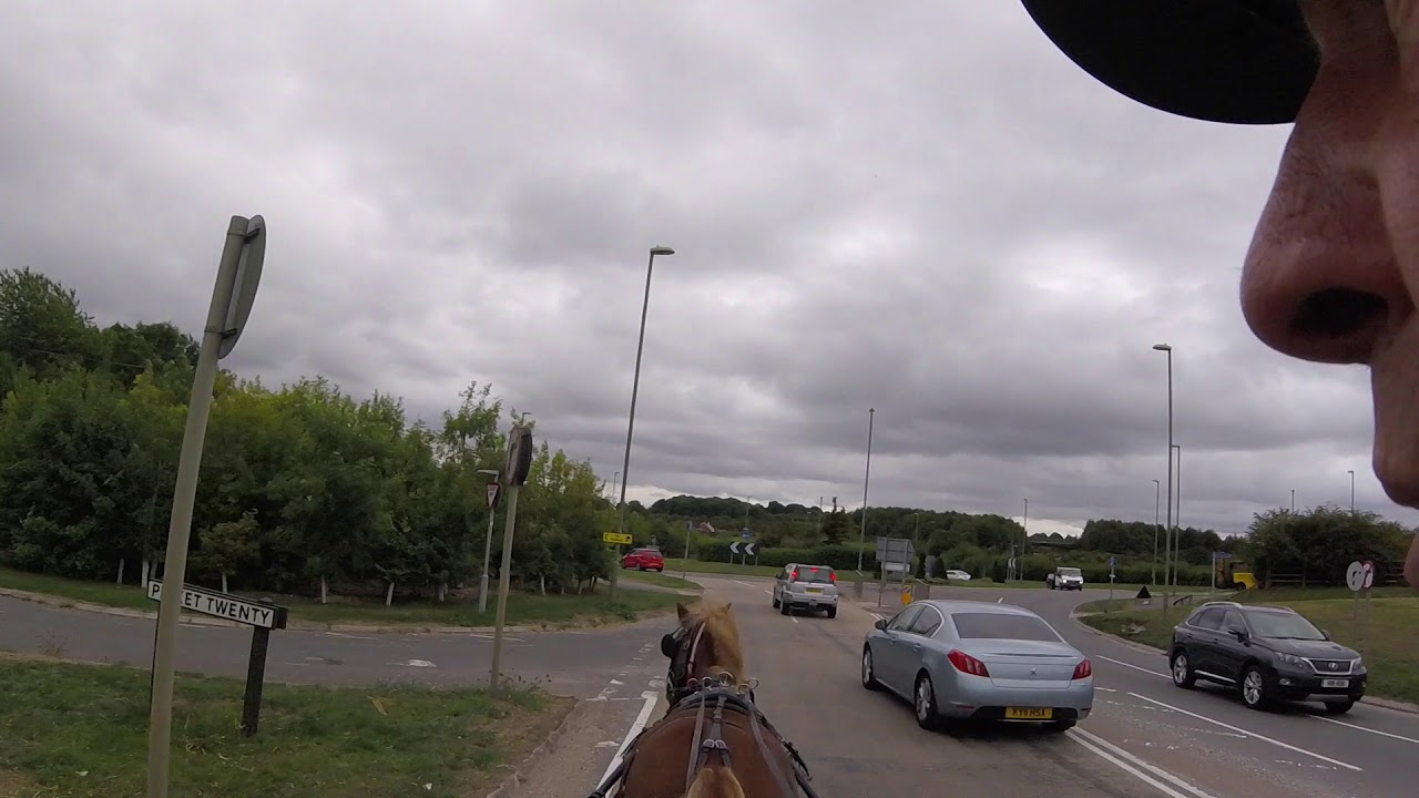 Training Toffee - a Pony with Locking Stifles - YouTube