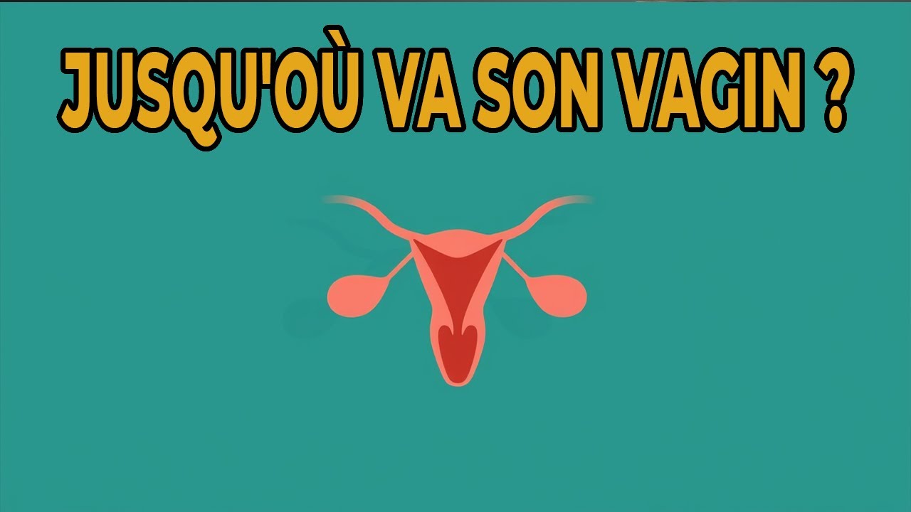 QUEL EST LA PROFONDEUR DU VAGIN ? UN UROLOGUE EXPLIQUE - YouTube