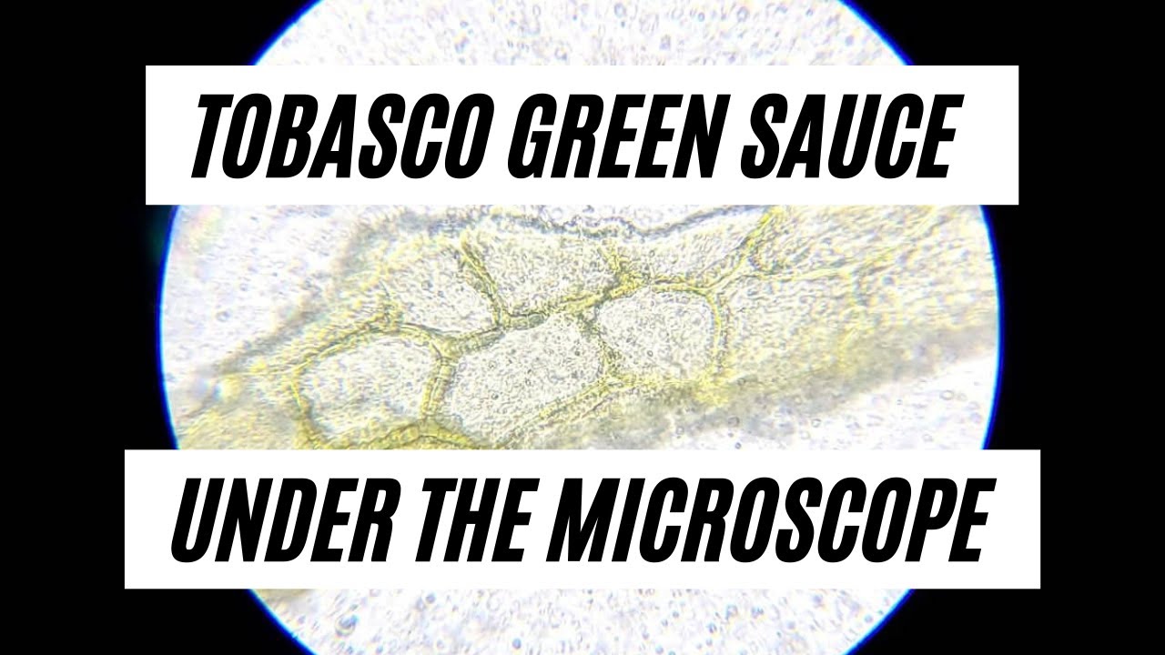 Tobasco green pepper sauce under the microscope. (INCREDIBLE) - YouTube