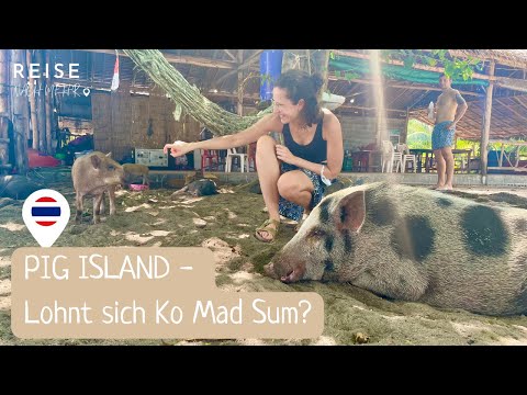 Reise Nach Mehr - #THAILAND 'S BAHAMAS & PIG ISLAND – LOHNT SICH KO MAD SUM ?