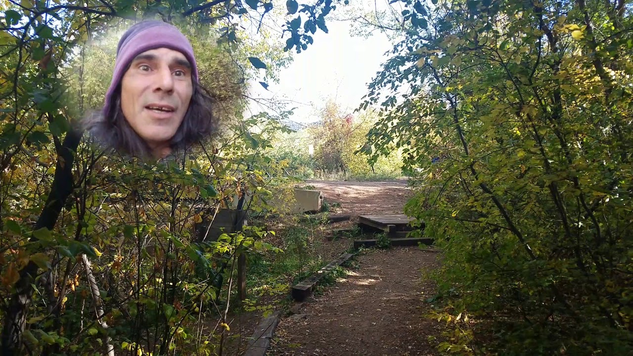 Parkinson's/Autism- Robin Williams -thoughts - YouTube