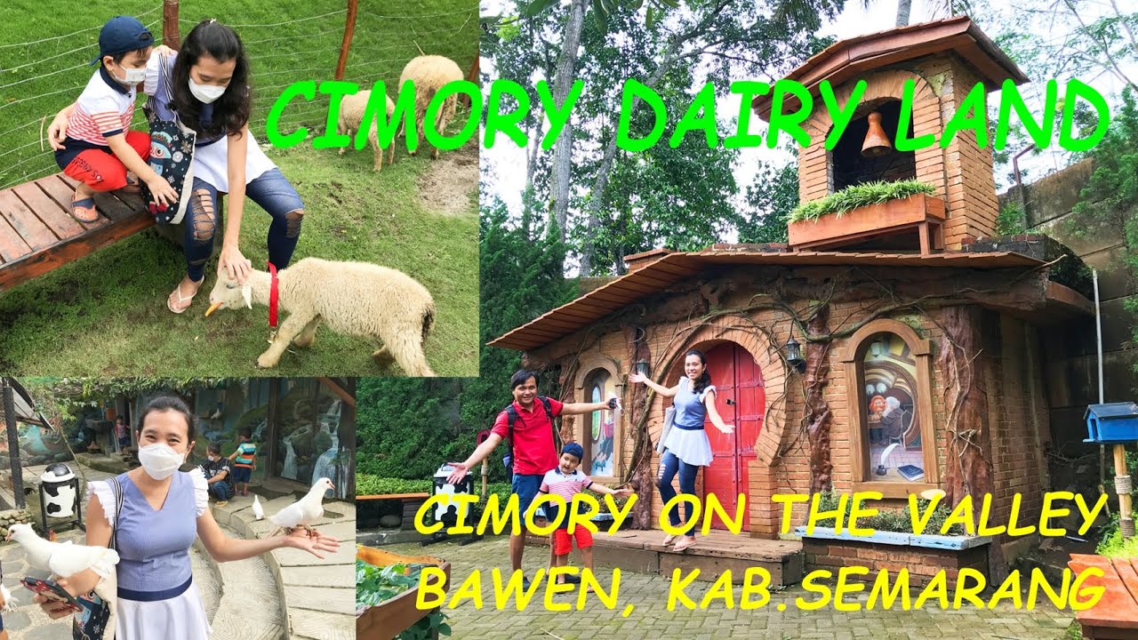 cimory dairyland, cimory on the valley, bawen, kab.semarang - YouTube