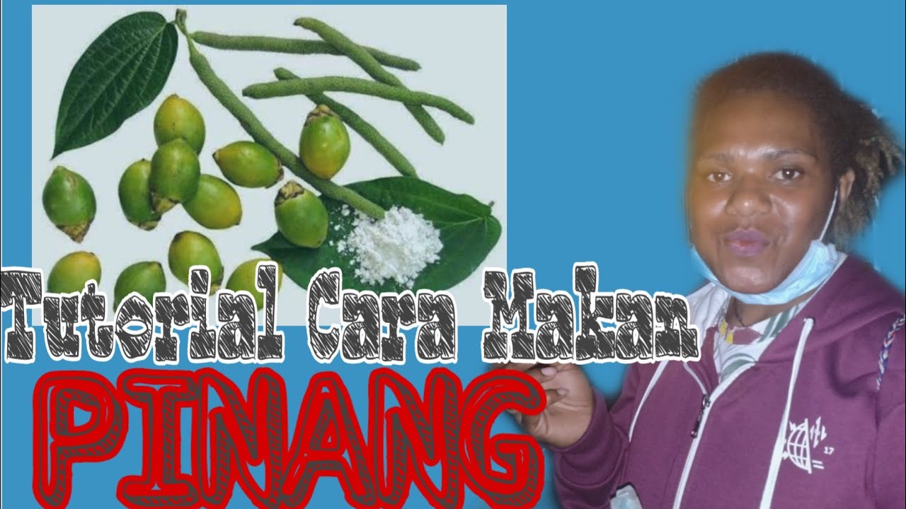 #TUTORIAL Begini cara Makan pinang yang benar - YouTube