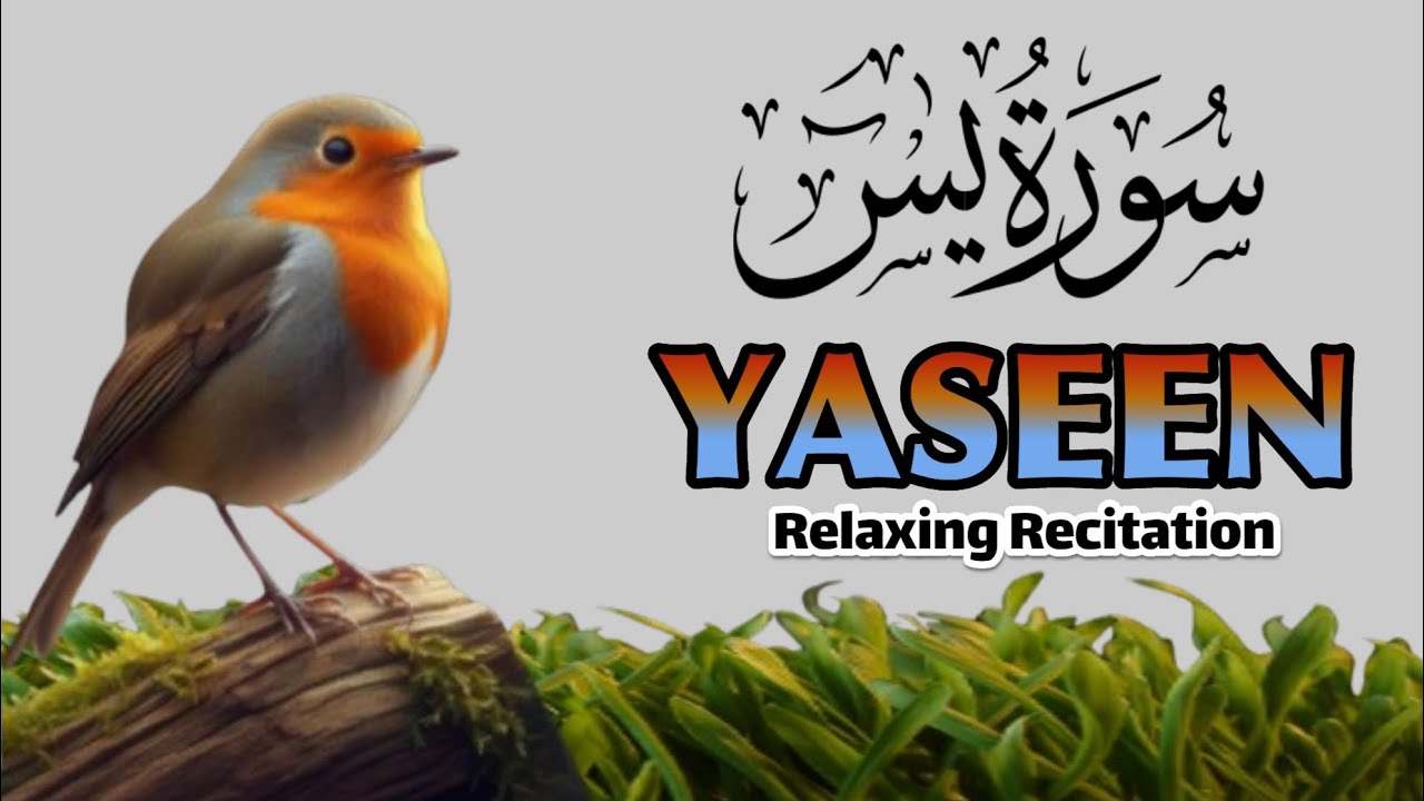 Surah Yasin {سورۃ یاسین کامل}[Beautiful recitation ]( Full) with Arabic ...