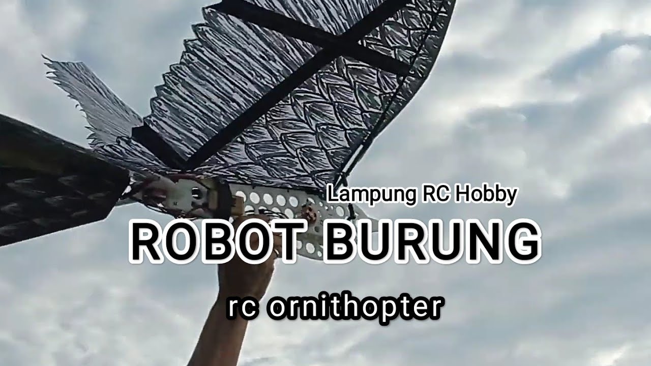 ornithopter rc bird - robot burung tester fly with glide lock orderan ...