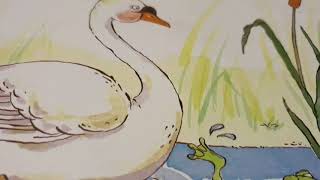 Cuento de la letra N | Doovi