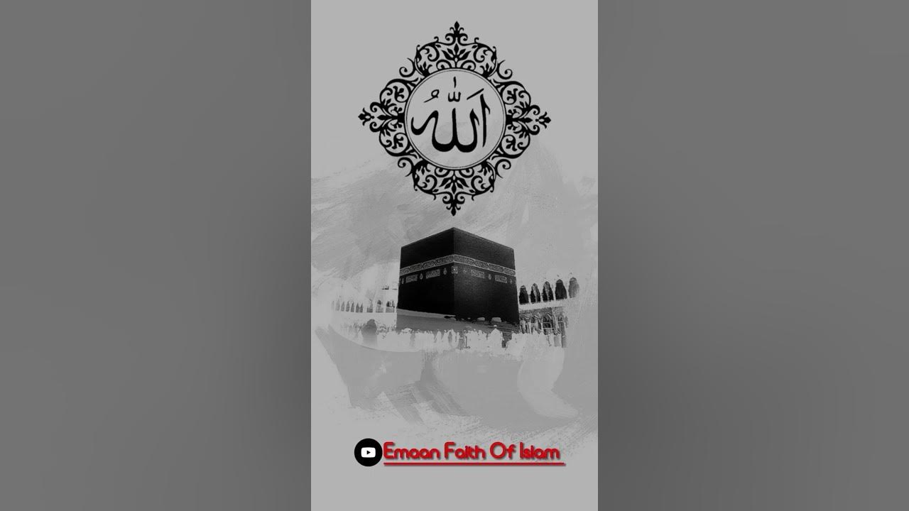What Does The Word Muslim Mean Nouman Ali Khan Islamic Status what-does-the-word-muslim-mean-nouman-ali-khan-islamic-status