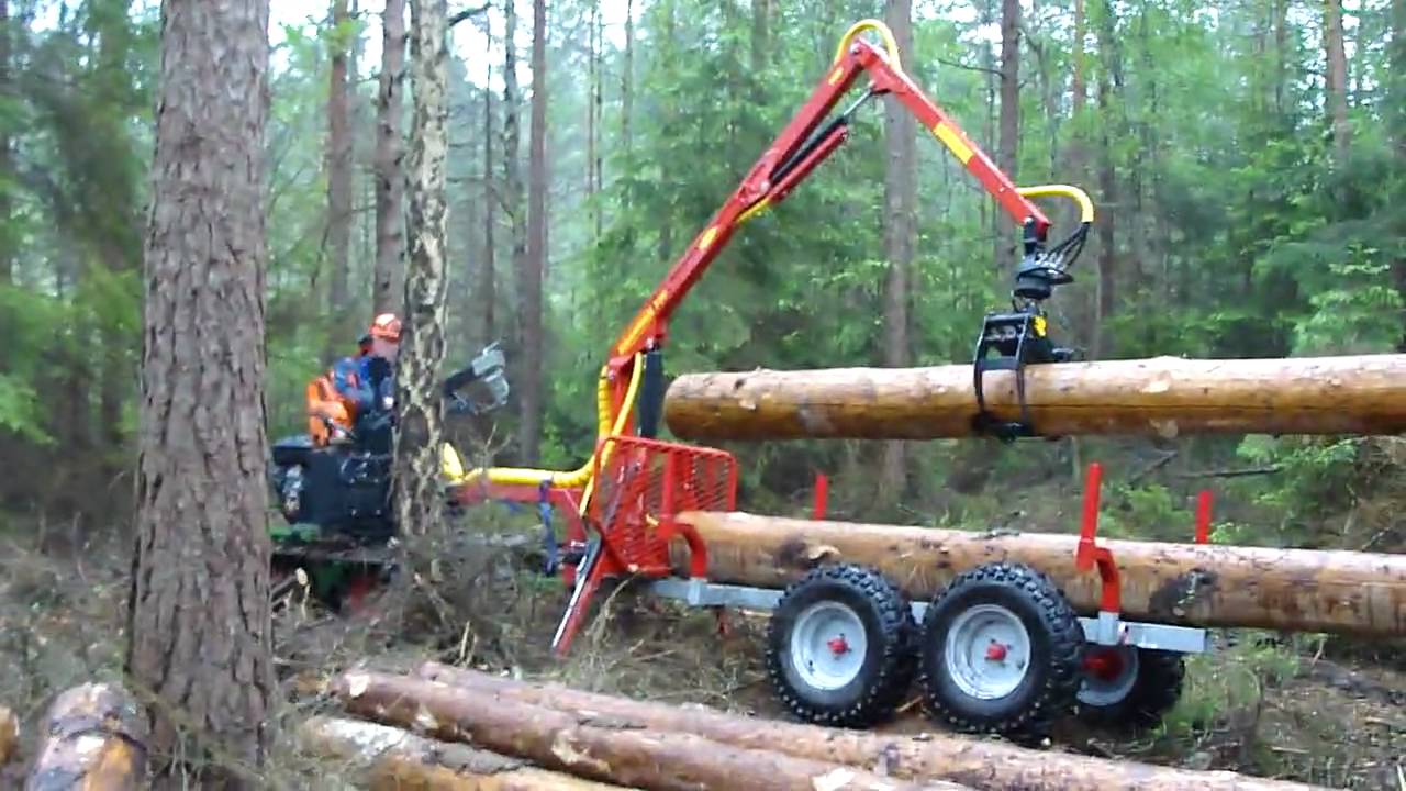 Oxen med Kranman 01.mp4 - YouTube