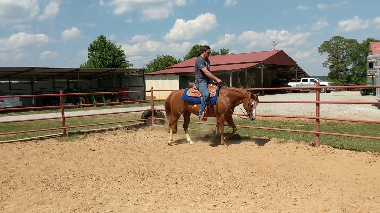 APHA Sassy Machine 2nd - YouTube