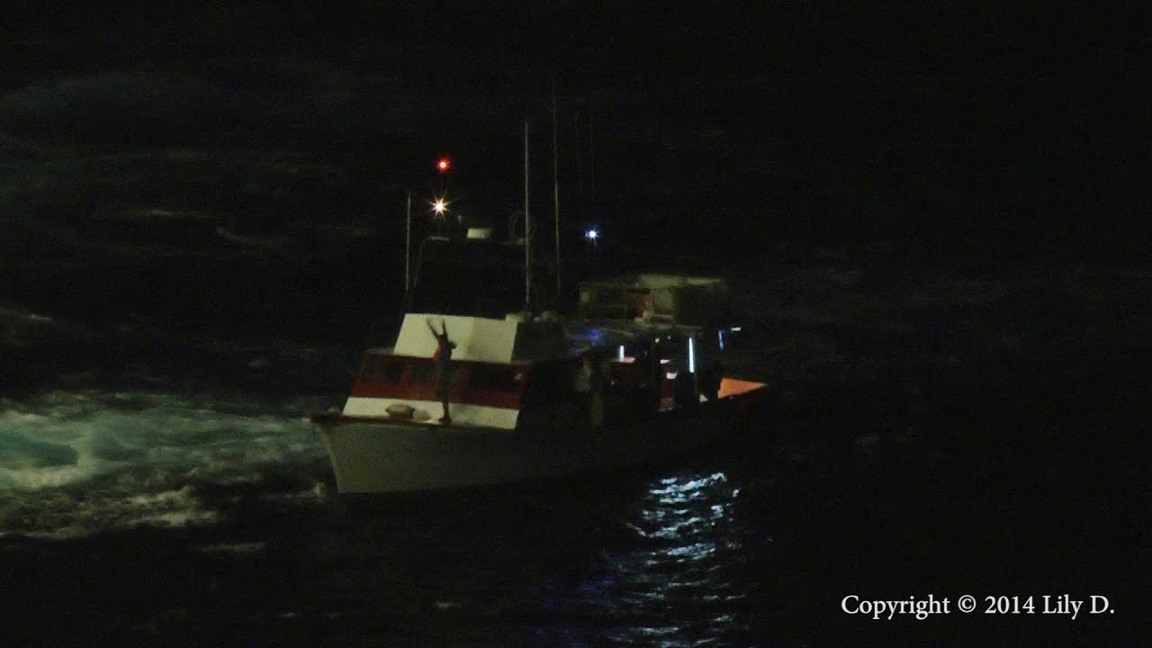 Cruise ship assists vessel in distress in the Caribbean Sea. HD. - YouTube