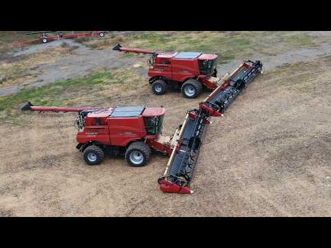 CANADIAN FARMER - HEAVY METAL - THE ULTIMATE TEAM - TWO CASE 8250 COMBINES HARVESTING  SOYBEANS