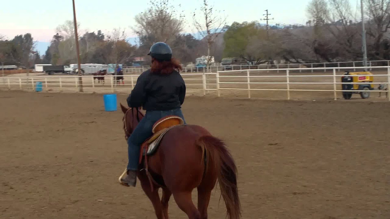 Horsey Play Day - YouTube