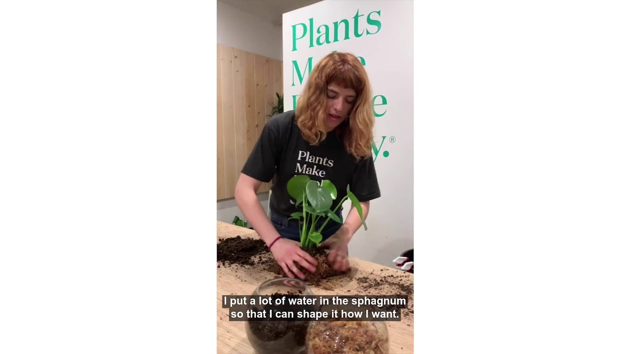 How To: DIY Kokedama with Shopkeeper Emily - YouTube