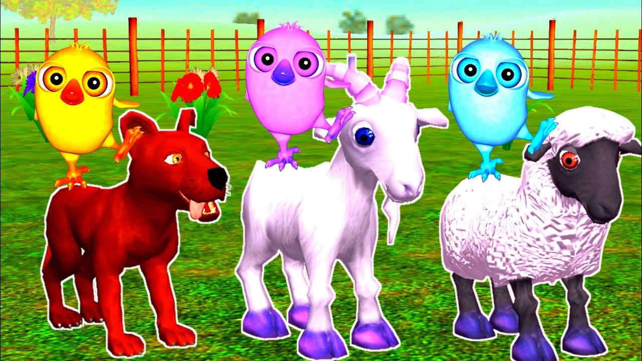 El pollito pia 3D animal game-Cancoines de la Granja de Zenon Pollito ...
