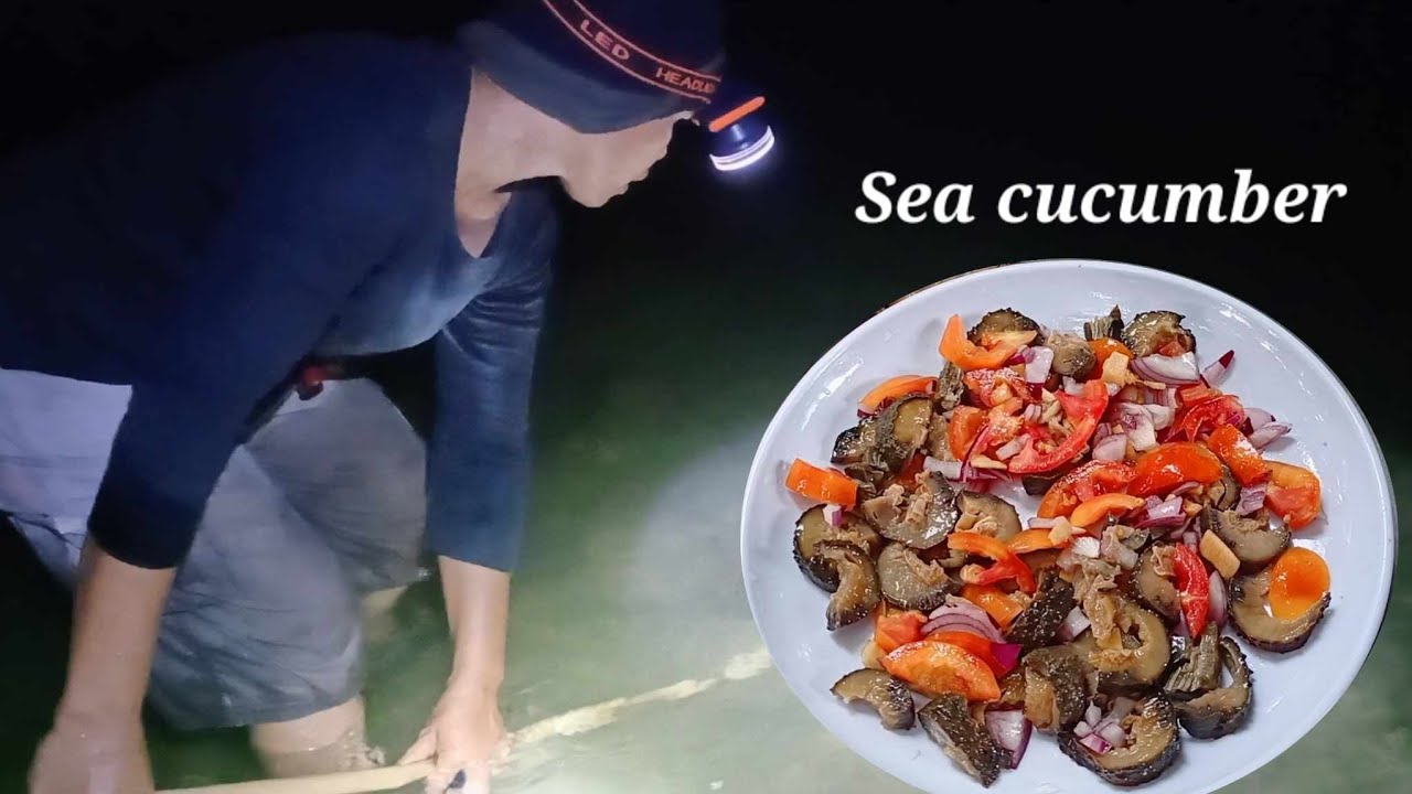 Sea Cucumber o Balatan Catch & Cook - YouTube