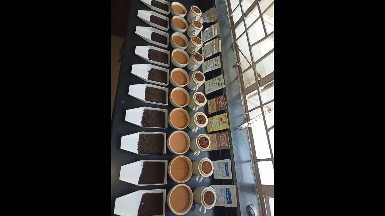 PRIVATE AUCTION TEA TASTING - 1ST FLUSH - 12/03/2025 - YouTube