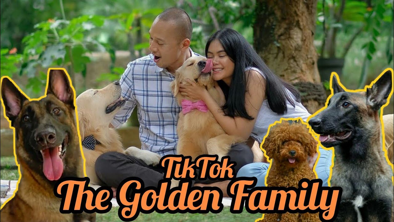 TikTok I'm Just A Kid Versi The Golden Family😍||Story The Golden Family ...