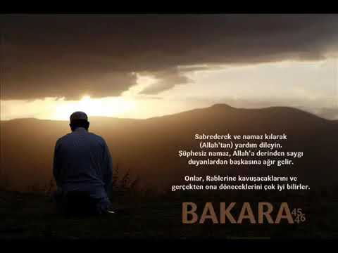 Əli ibn abu Talibin oğluna nesihetleri