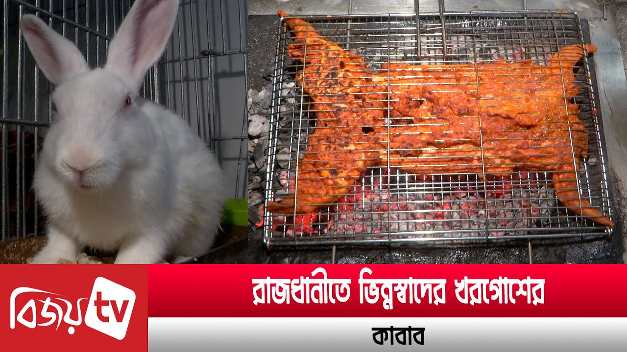 রাজধানীতে ভিন্নস্বাদের খরগোশের কাবাব | Rabbit Kebab | Bijoy TV - YouTube