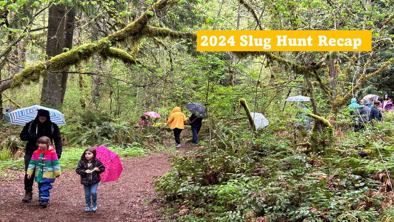 2024 Slug Hunt Recap - YouTube